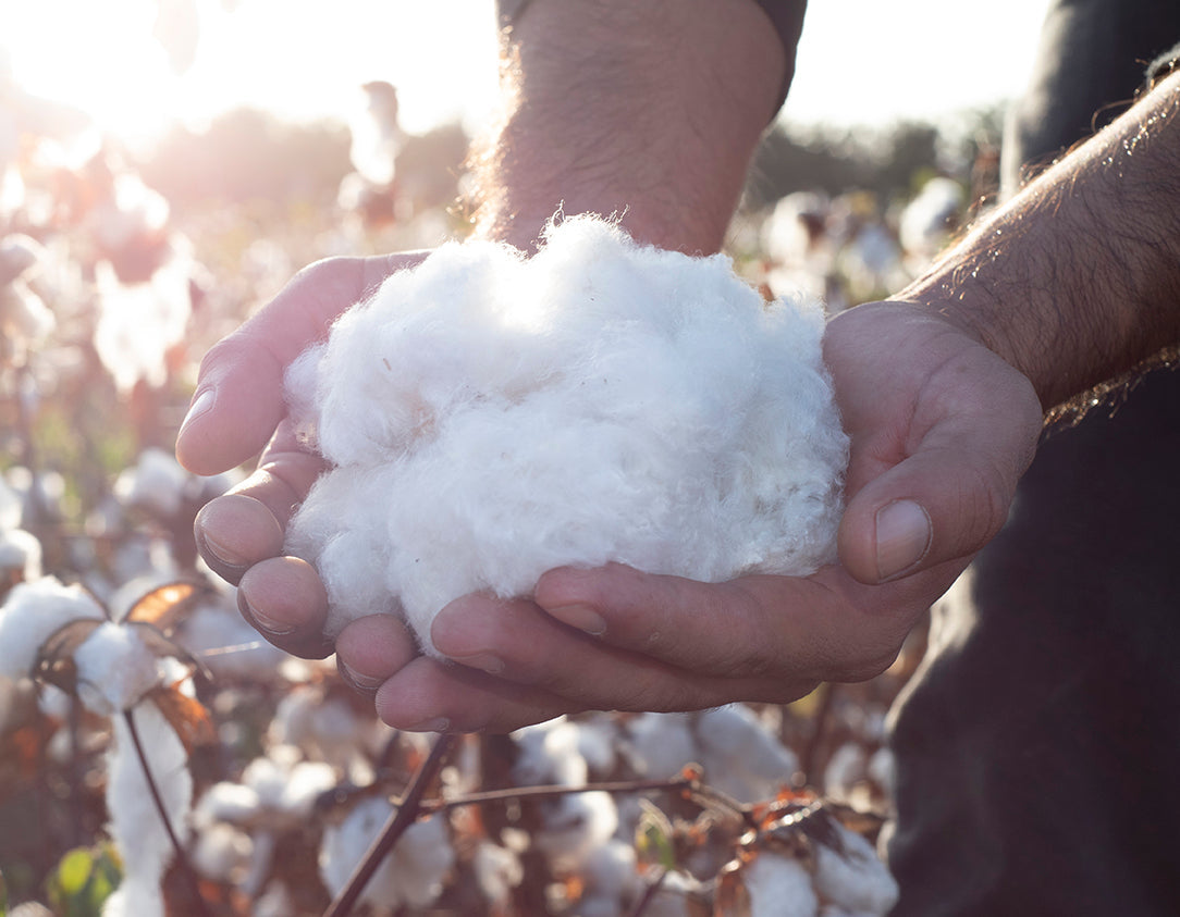Pima vs Supima cotton. What's the difference? – Fair Indigo