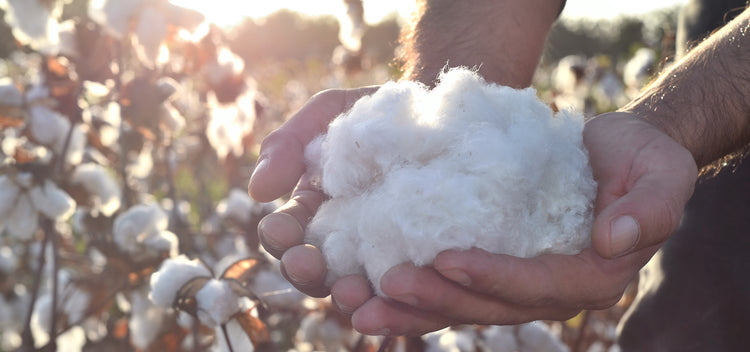 Organic Pima Cotton Clothing | Fair Indigo